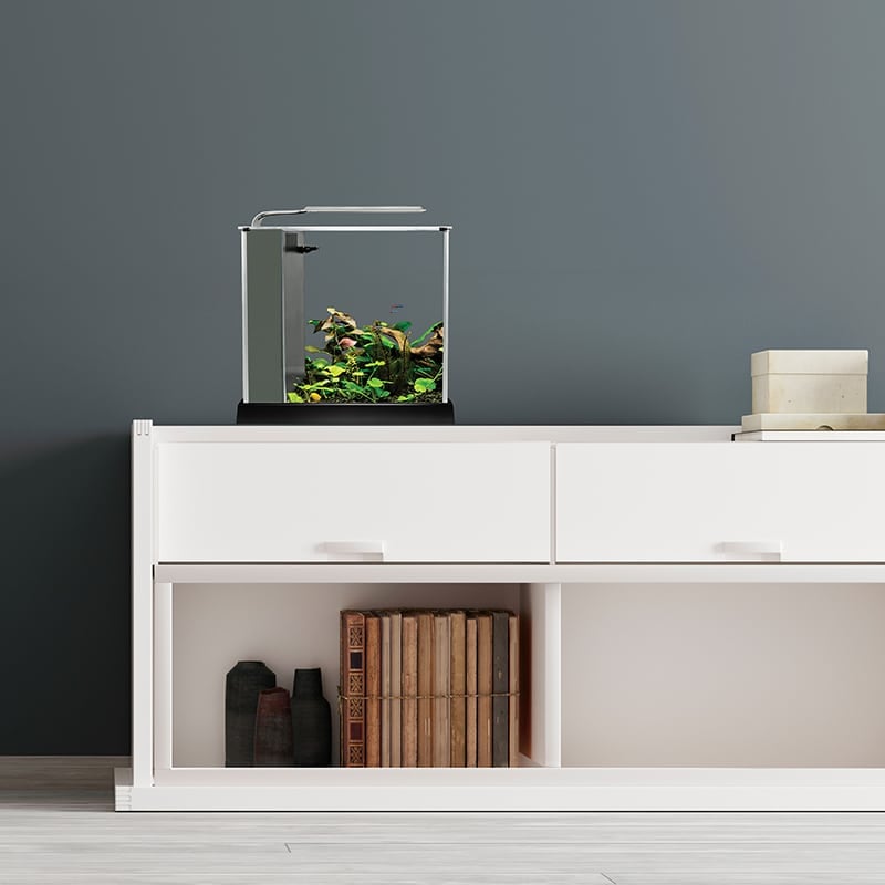 Fluval Spec Aquarium Kit, 2.6 US Gal / 10 L - Serving NY - NJ - Pet ...